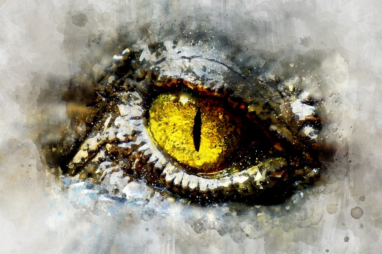 Ce întrebări aș pune cuiva care s-a întâlnit cu reptilienii? - QHHT Romania